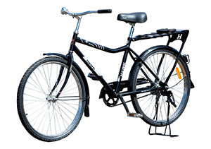 Welcome | Lion Bicycles