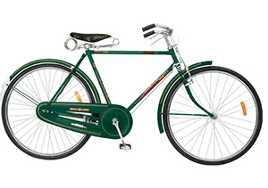 Welcome | Lion Bicycles